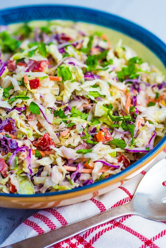 Keto Cole Slaw ~ Easy & Low Carb & great with Carnitas!